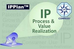 The IP Process & Value Realization | IPPlan™ | SBPlan.com